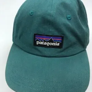 Patagonia | Accessories | Patagonia P6 Label Trad Cap Mens Teal Green ...